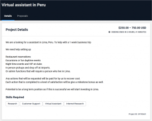 Virtual Assistant Proposal Sample for Freelancer