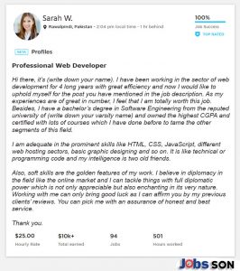 Web Developer Overview Sample for Upwork Profile