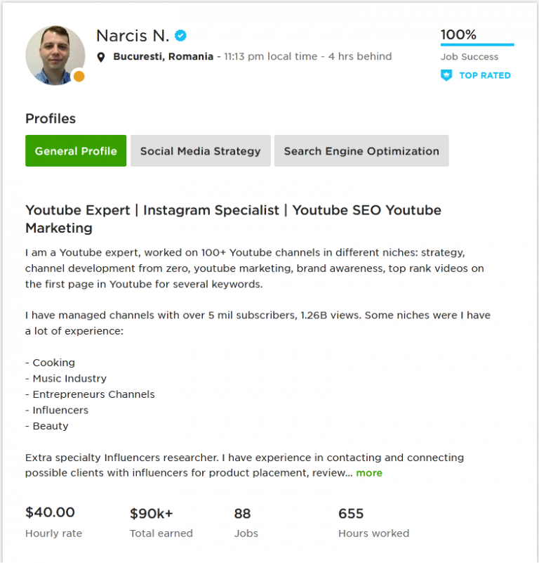 Upwork Profile Overview Sample for YouTube Marketing