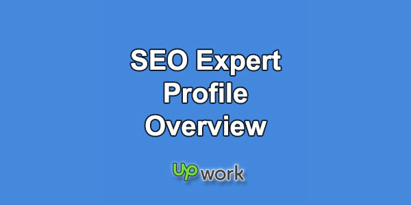 Upwork Profile Overview Sample for SEO Expert